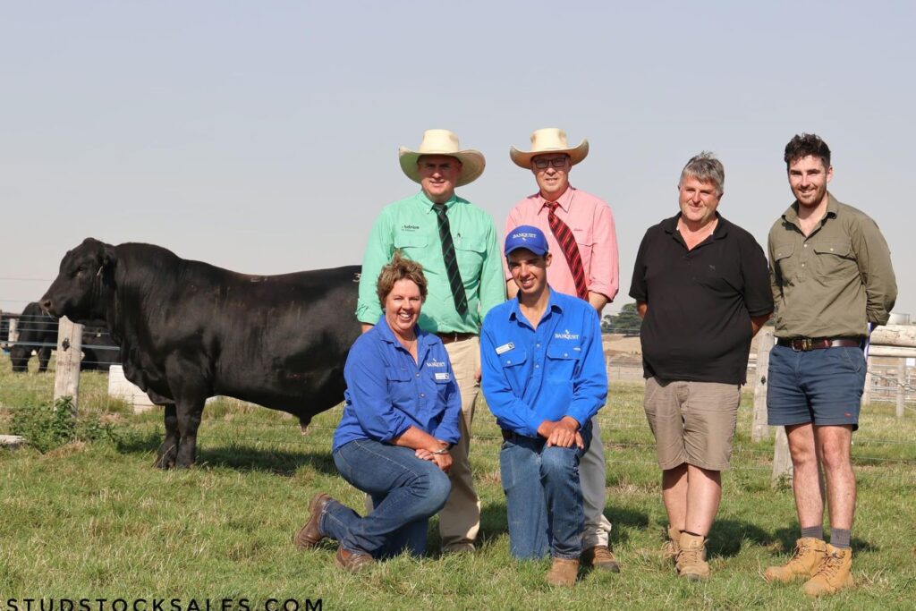 Banquet Angus | Autumn On-Property Bull Sale